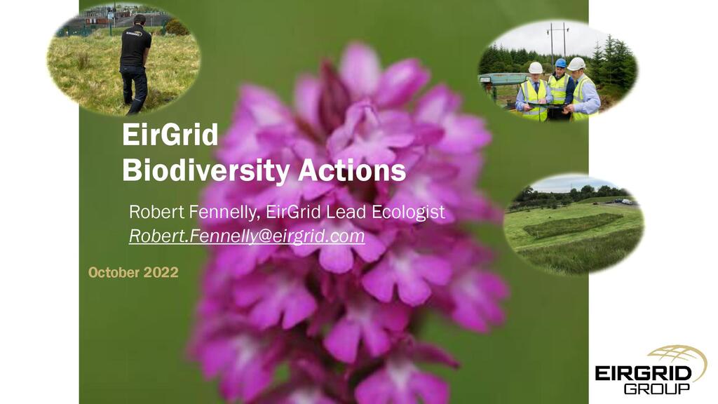 Biodiversity Presentation by EirGrid 2022 | Friends of the Earth
